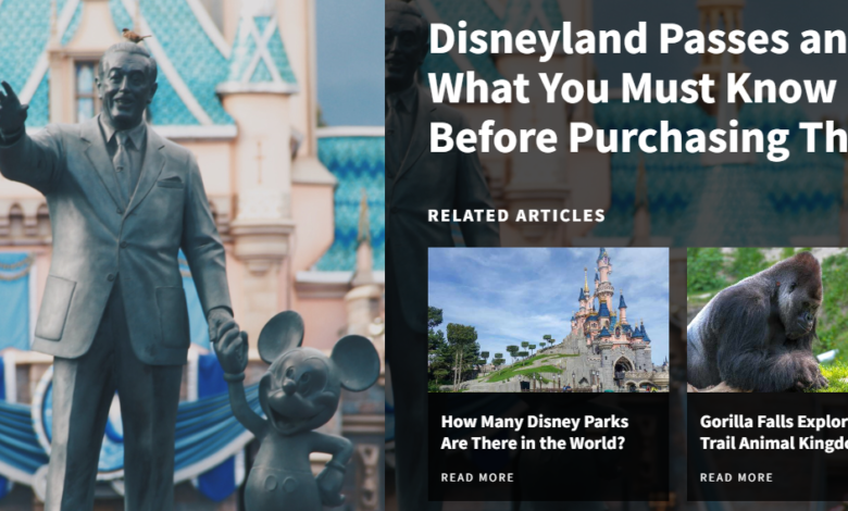 Here Are The Important Subtleties Of Disneyland Season Passes